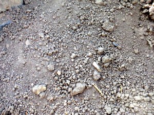 Gartenerde - GartenBob der Garten Ratgeber