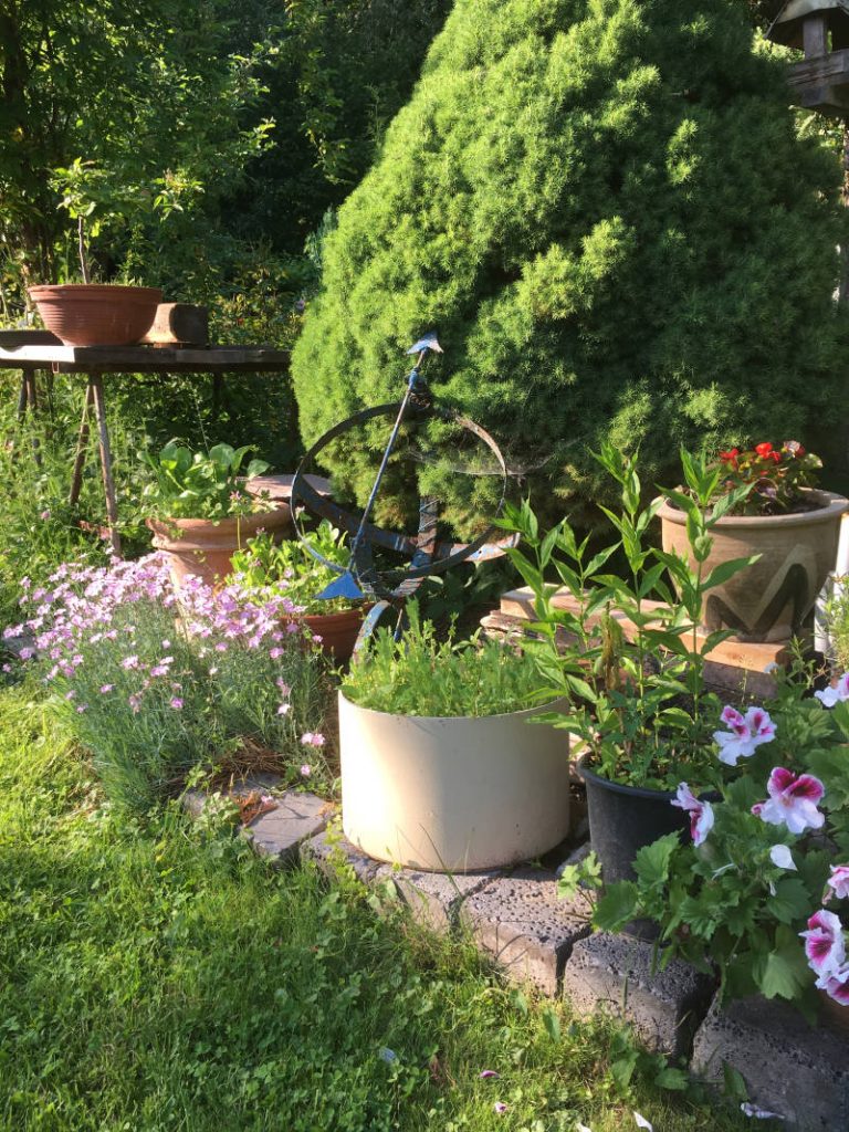 Einen Bauerngarten anlegen - Tradition und Moderne vereint - GartenBob ...